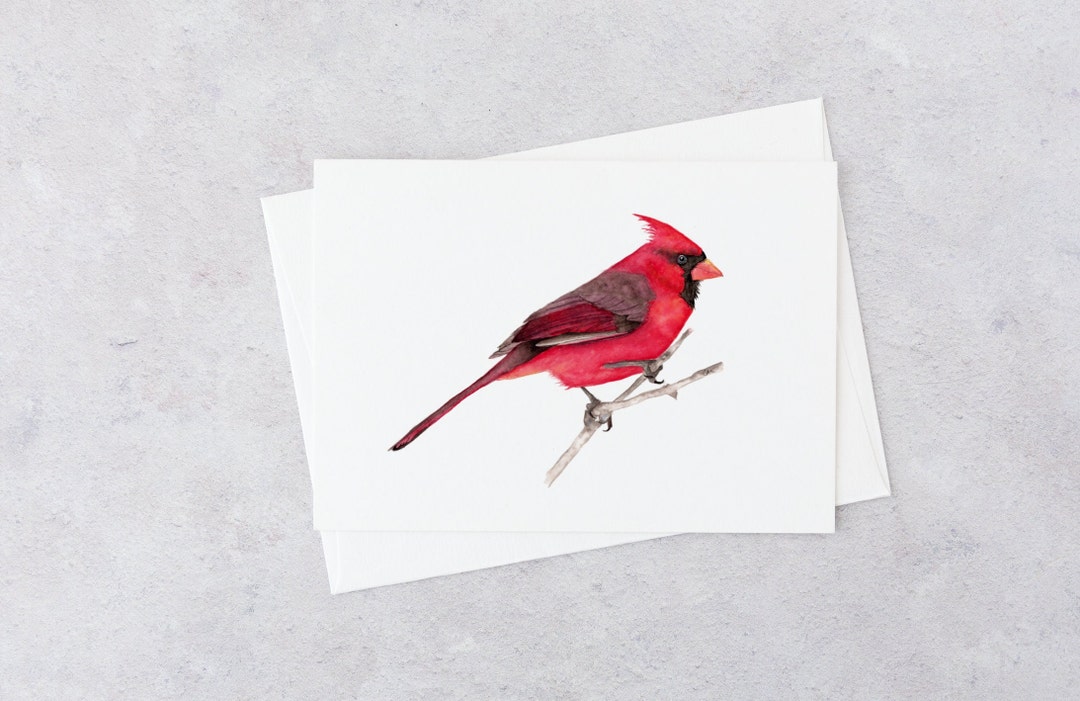 Cardinal Gifts, Red Cardinal, Blank Note Card With Envelope, Wildlife ...