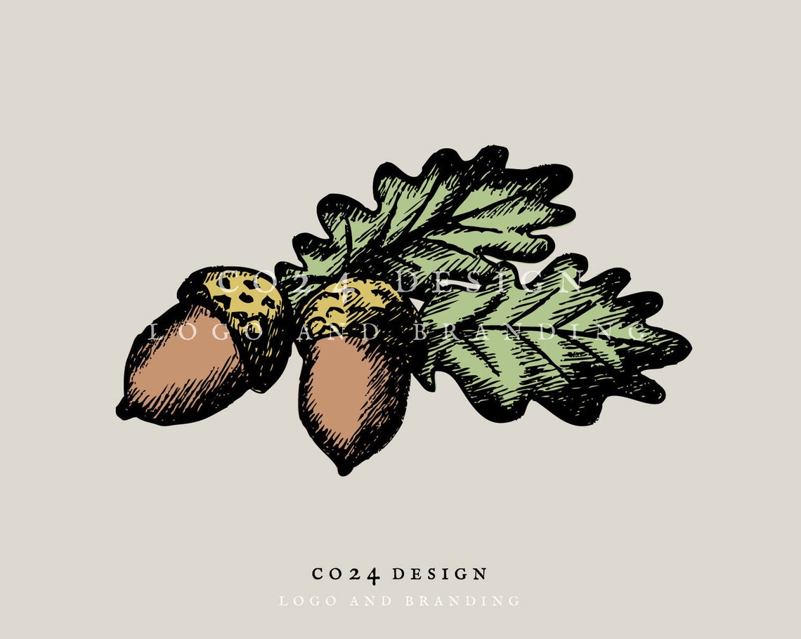 Acorns and Oak Leaves Illustration Botanical Drawing Vintage - Etsy