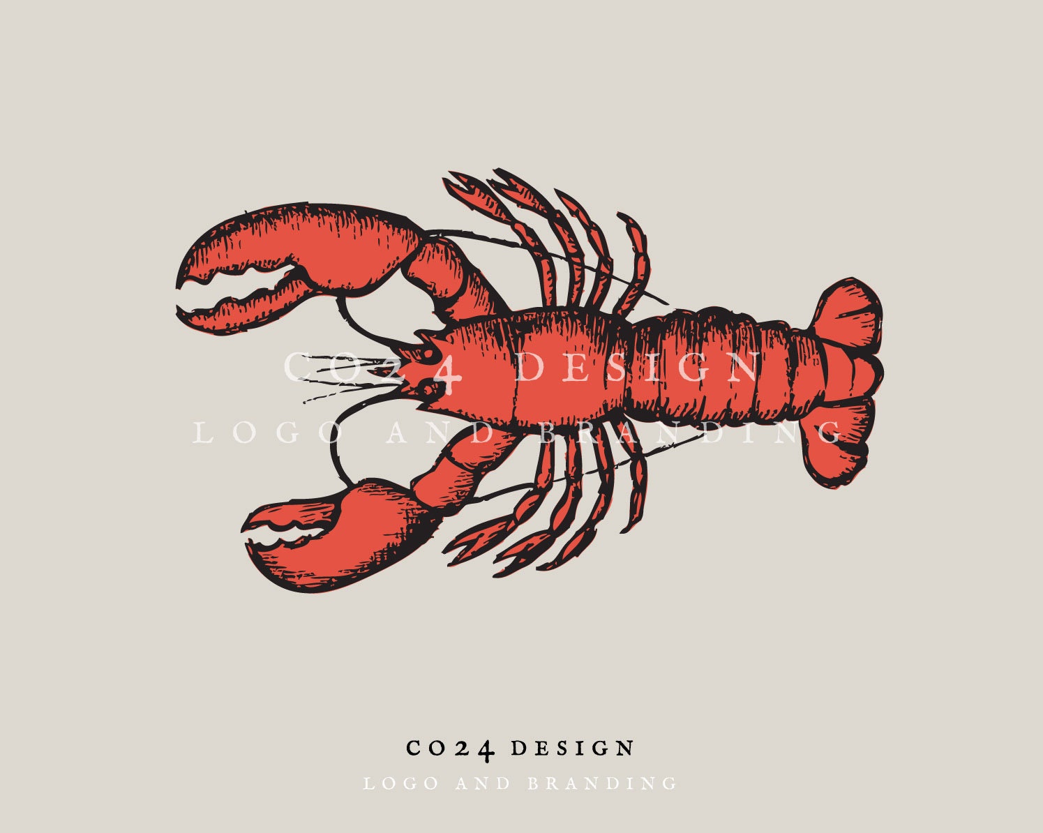 Lobster Drawing
