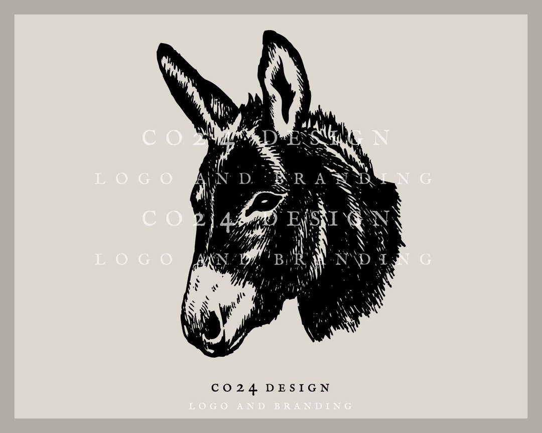 Donkey Illustration, Vintage Style Hand Drawn Illustration, Donkey ...