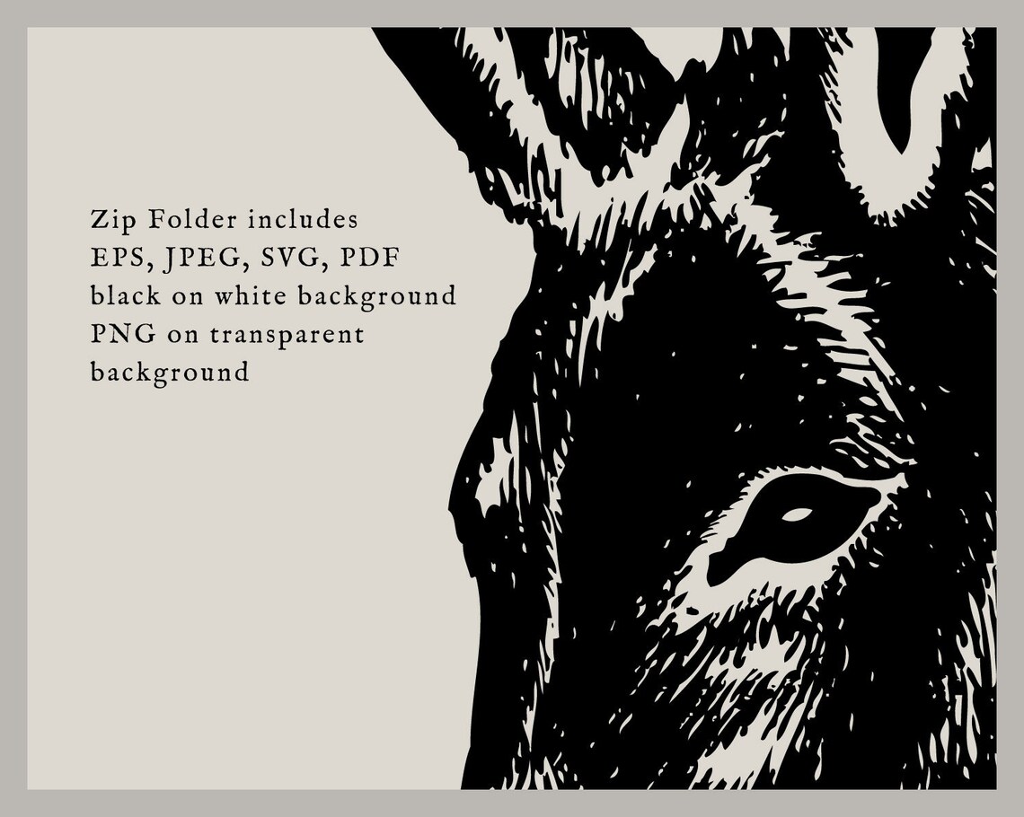 Donkey Illustration Vintage Style Hand Drawn Illustration | Etsy