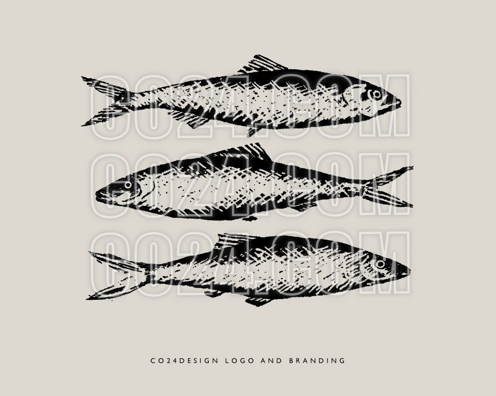 Sardine Fish Vector