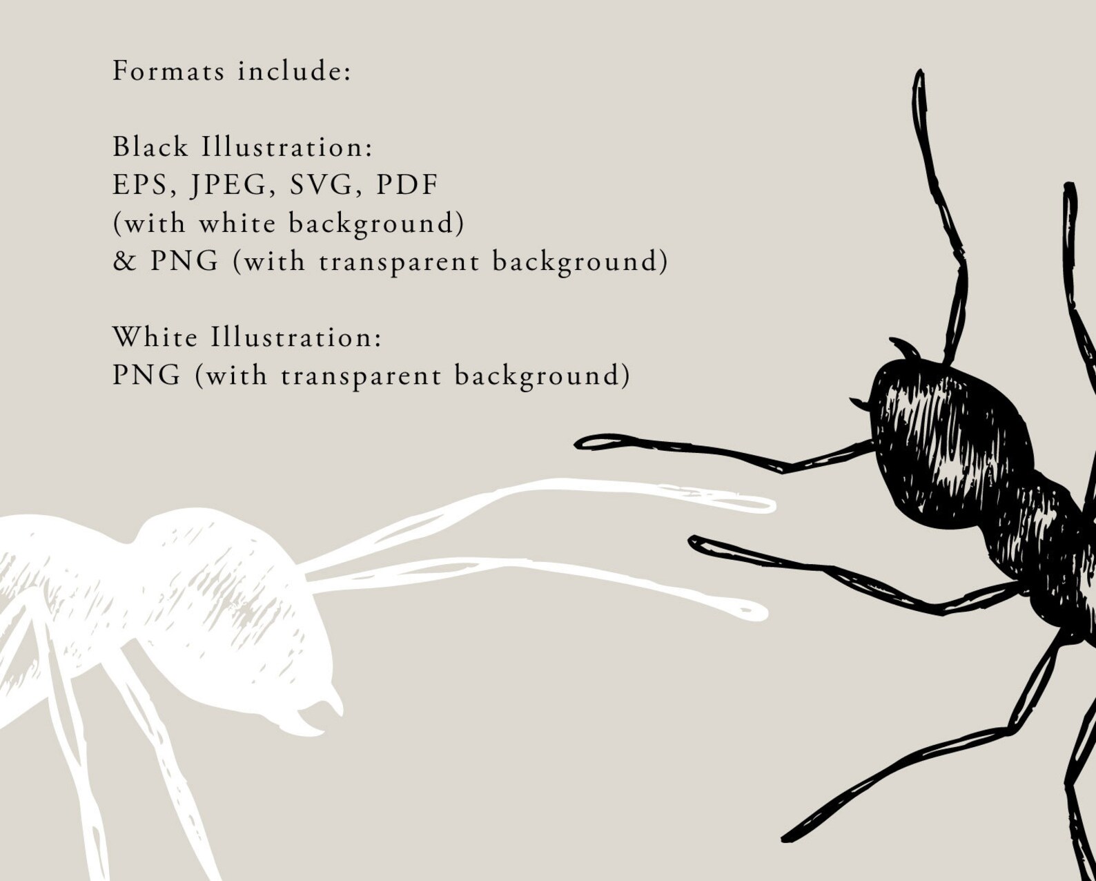 Ant Illustrations Vintage Style Insect Drawings Entomology - Etsy