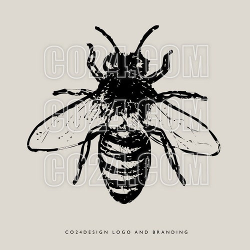 Bumblebee Vintage Style Hand Drawn Illustration Bumble Bee - Etsy