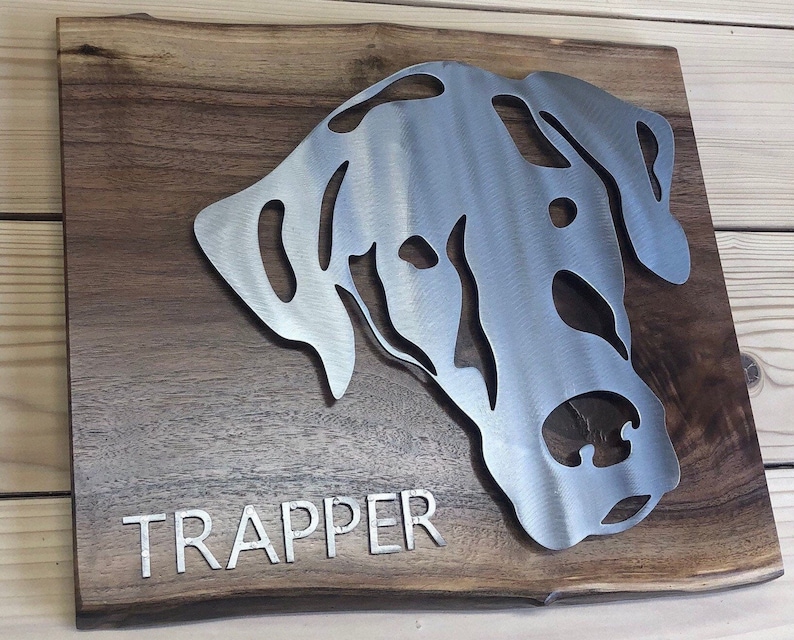 Custom Pet Portrait; Custom Metal Pet; Custom Metal Art; Dog Portrait ...