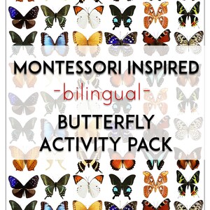 Montessori Inspired Bilingual Butterfly Activities (3-part Cards: Life ...