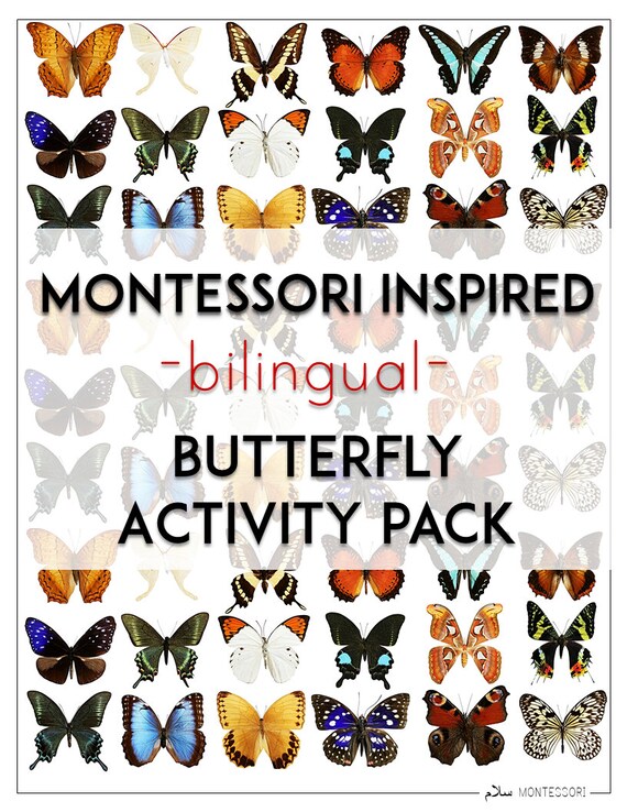 Montessori Inspired Bilingual Butterfly Activities 3-part | Etsy