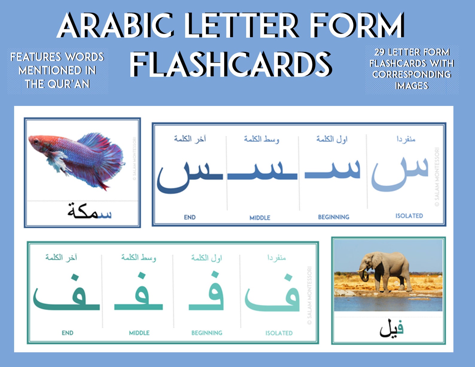 Arabic Letter Form Flashcards (real Images) - Etsy