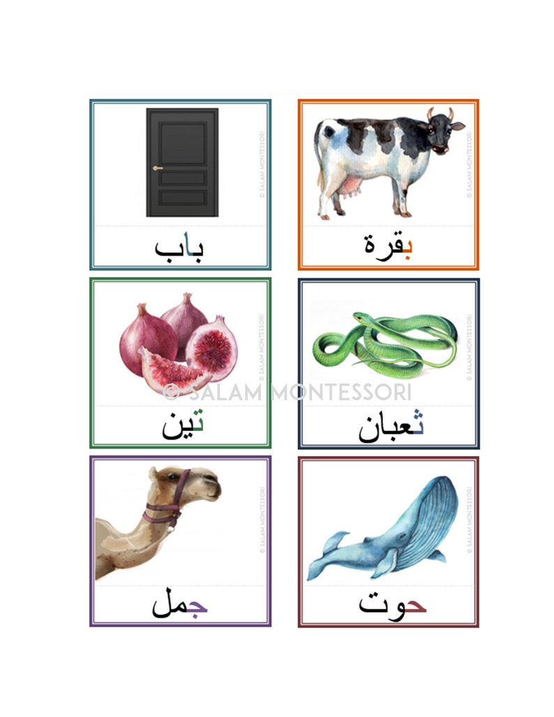 Arabic Alphabet Form Flashcards (WATERCOLOR) - Etsy