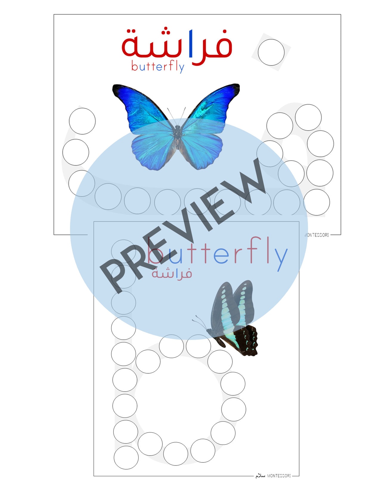 Montessori Inspired Bilingual Butterfly Activities (3-part Cards: Life ...