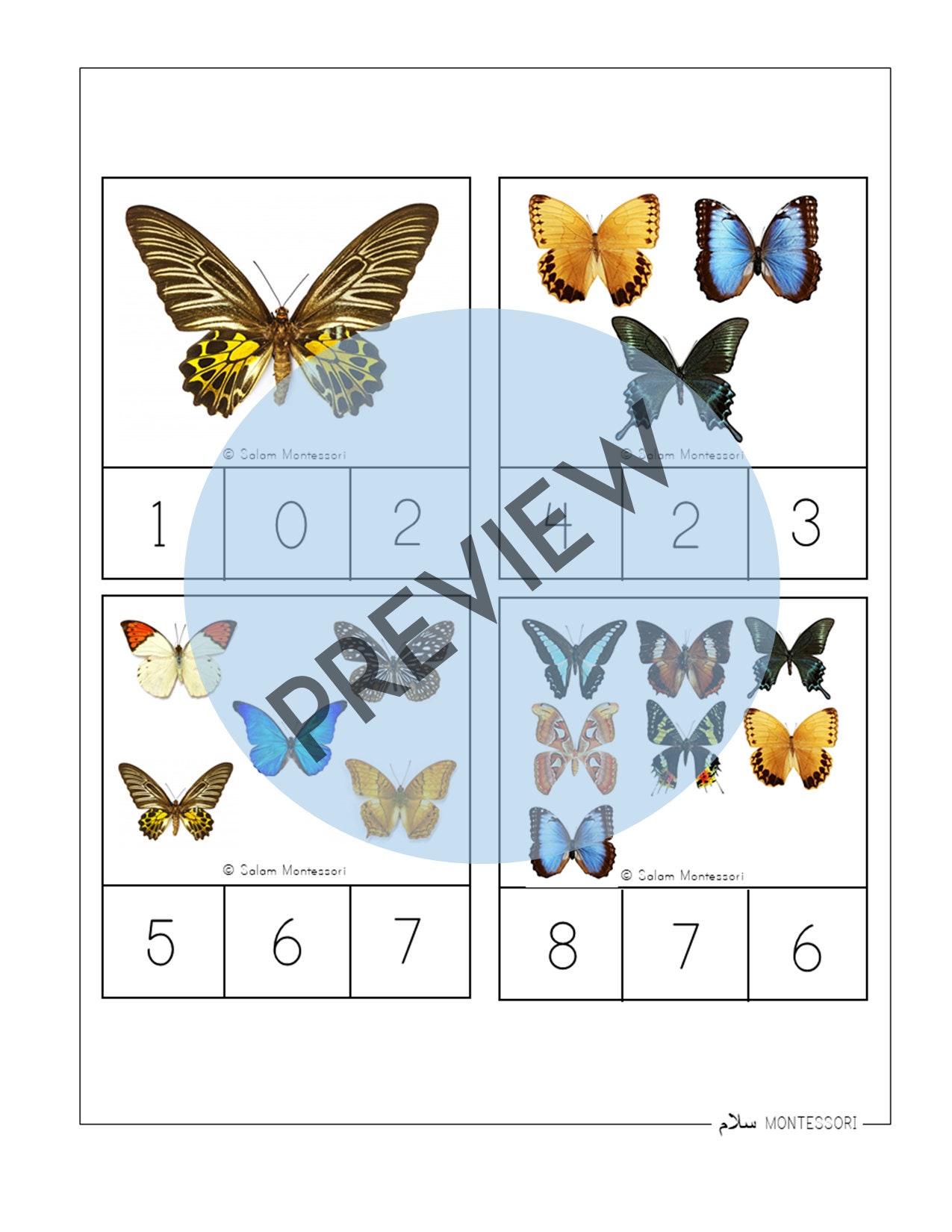 Montessori Inspired Bilingual Butterfly Activities (3-part Cards: Life ...