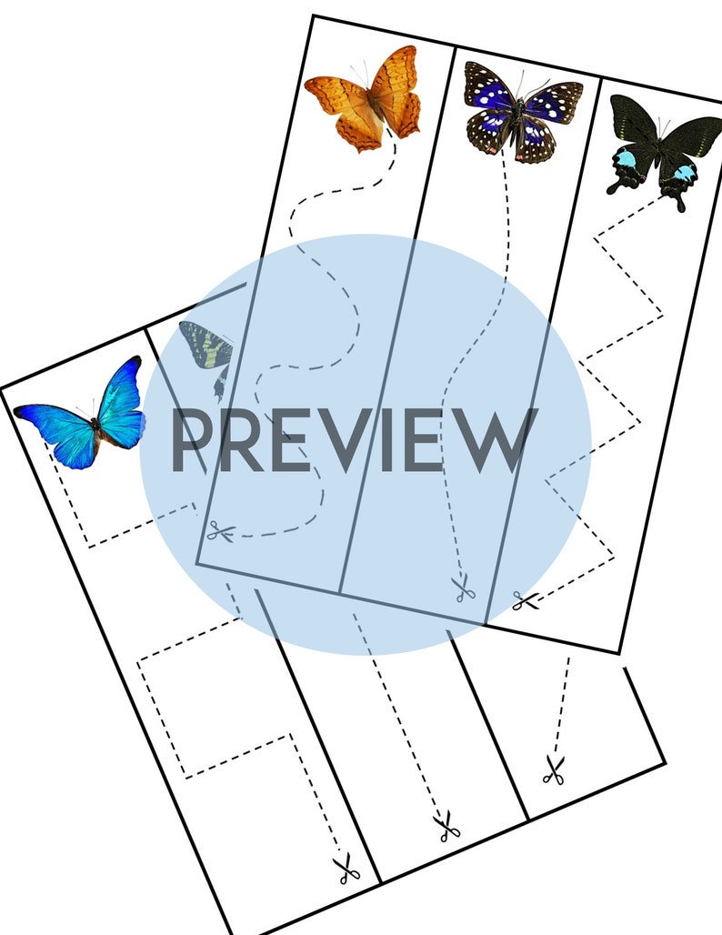 Montessori Inspired Bilingual Butterfly Activities (3-part Cards: Life ...