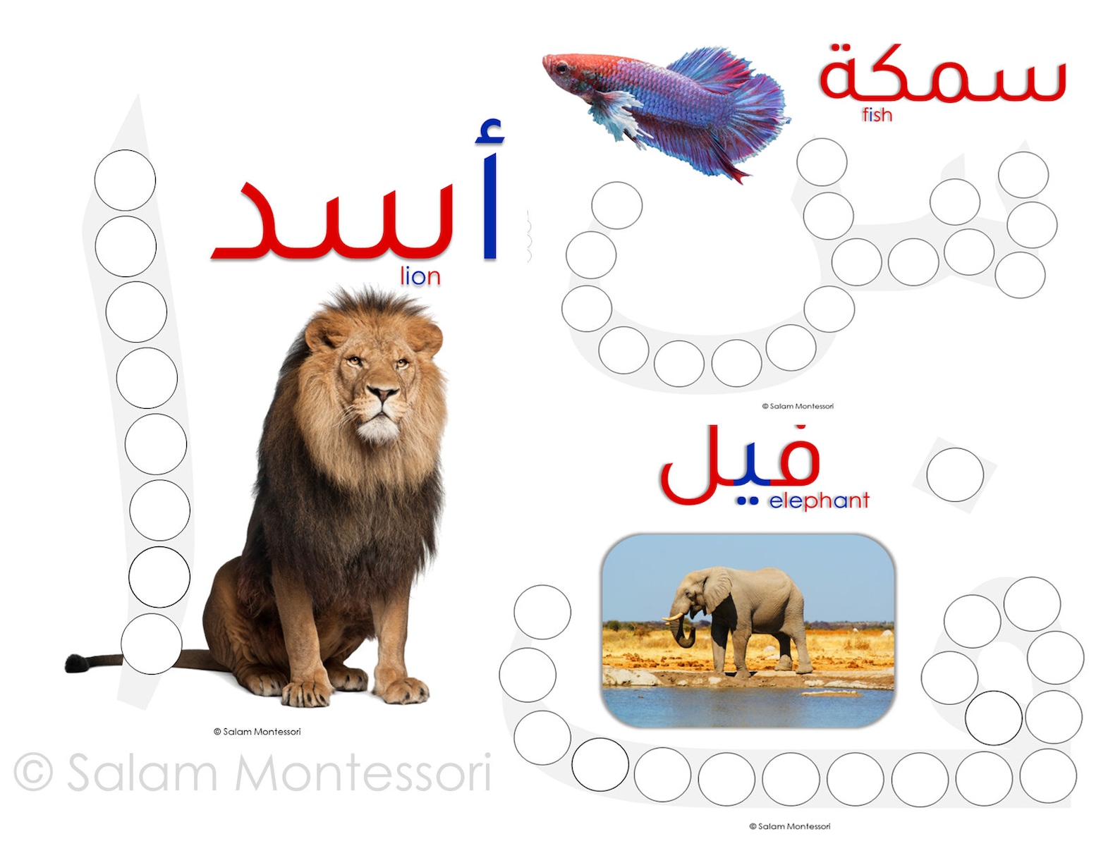 Arabic Alphabet Do A Dot Activity (29 Pages) - Etsy