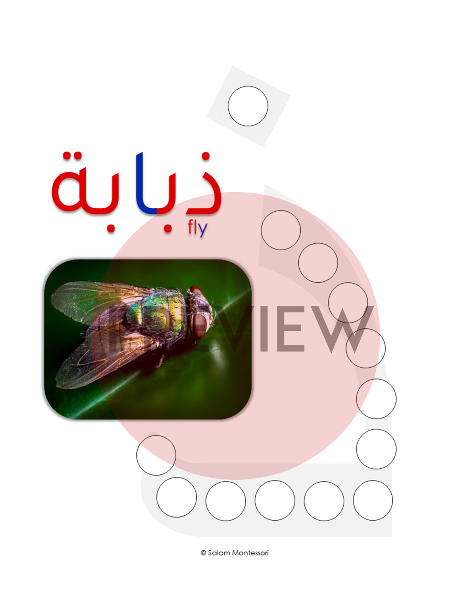 Arabic Alphabet Do A Dot Activity (29 Pages) - Etsy