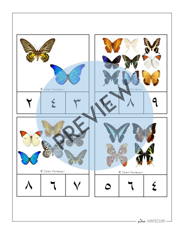 Montessori Inspired Bilingual Butterfly Activities (3-part Cards: Life ...