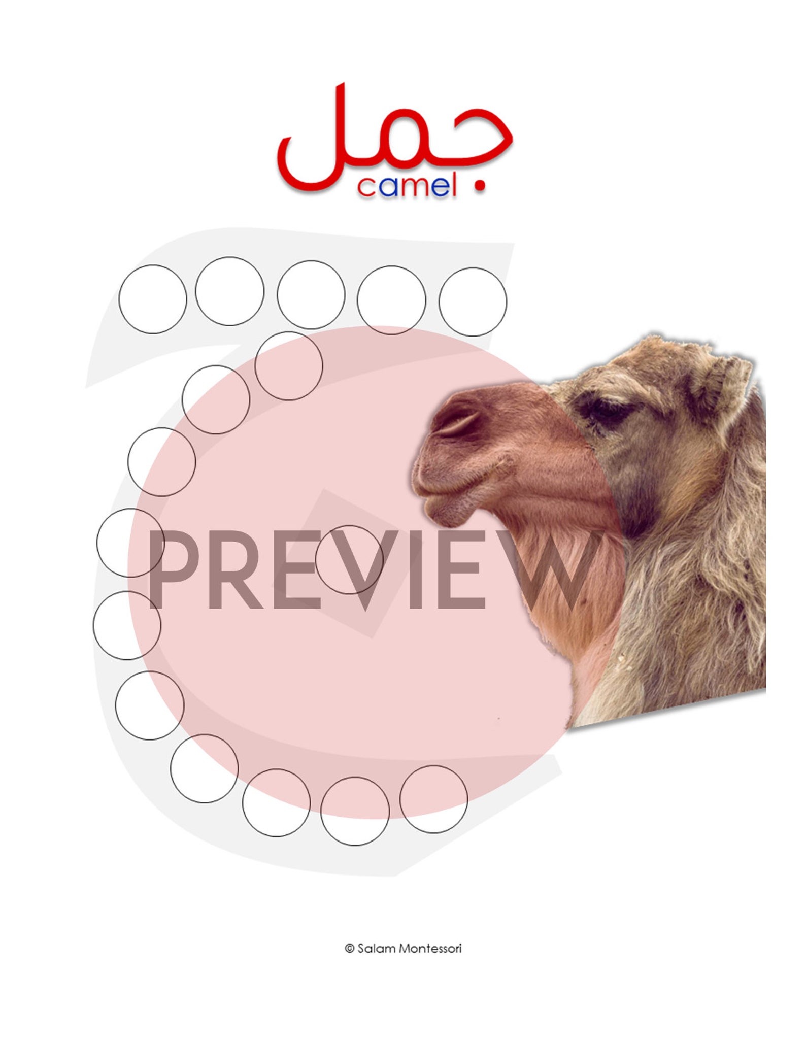 Arabic Alphabet Do A Dot Activity (29 Pages) - Etsy