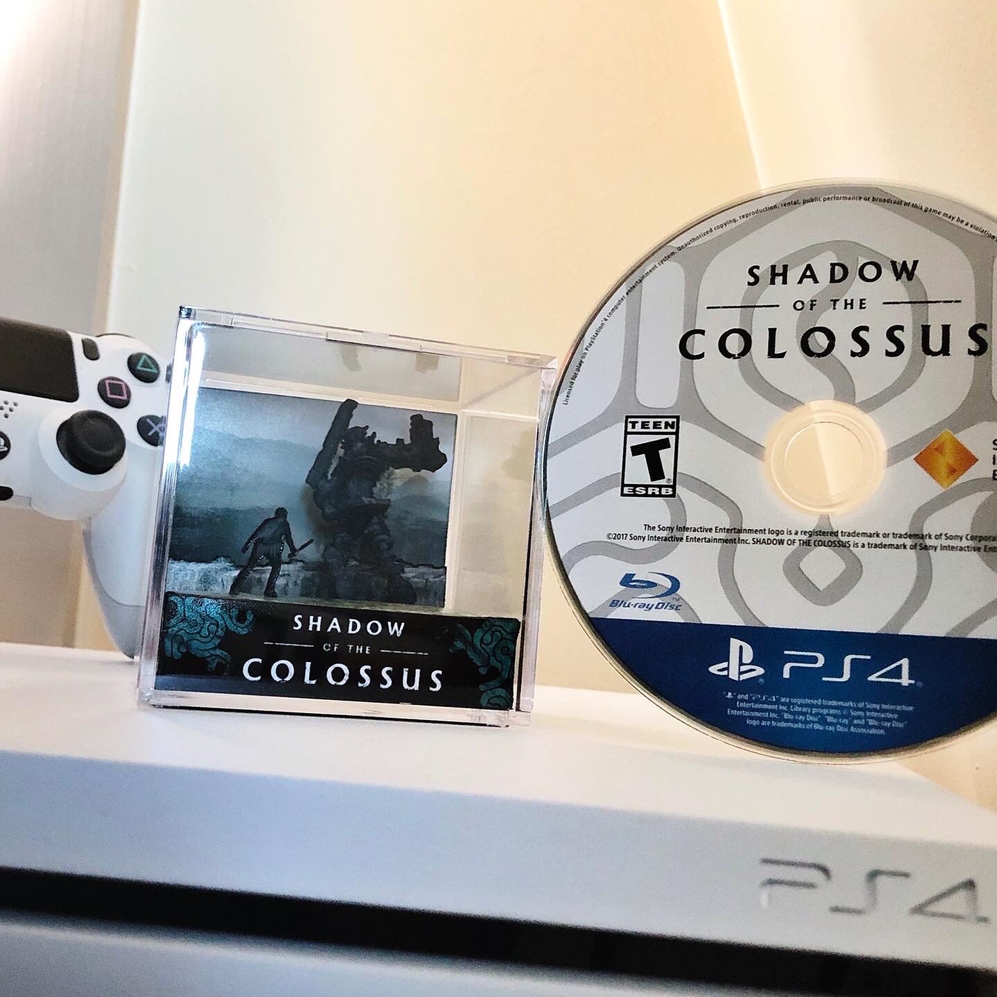Shadow of the Colossus Diorama Cube - Video Game Room Decoration - Etsy