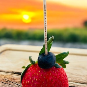 Elegant Toothpicks With Custom Engraving - Personalized Toothpicks ...