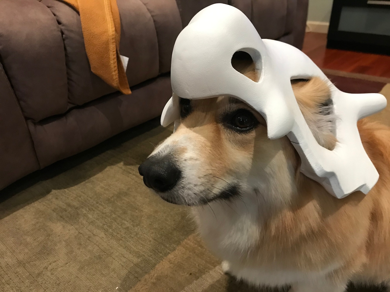 Cubone Dog Mask Dog Costume Pokemon Dog Mask FREE - Etsy