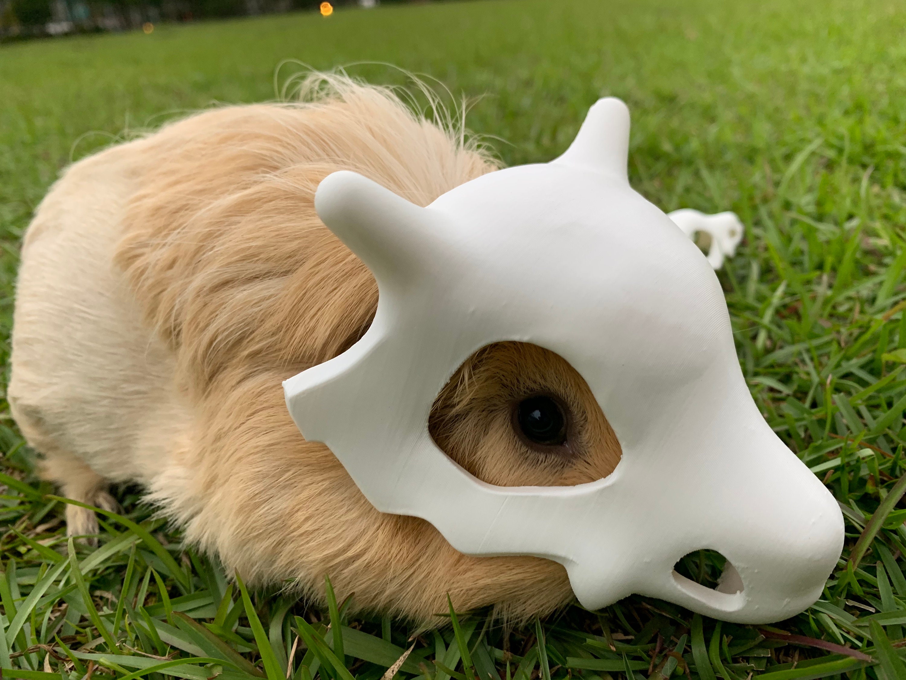 Cubone Dog Mask - Dog Costume - Pokemon Dog Mask - FREE SHIPPING - Etsy