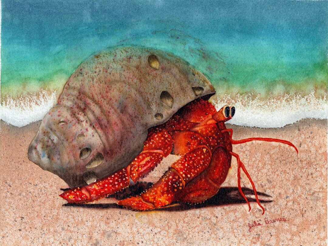 Archival Print of Hermit Crab/animal Portrait/watercolor Painting ...