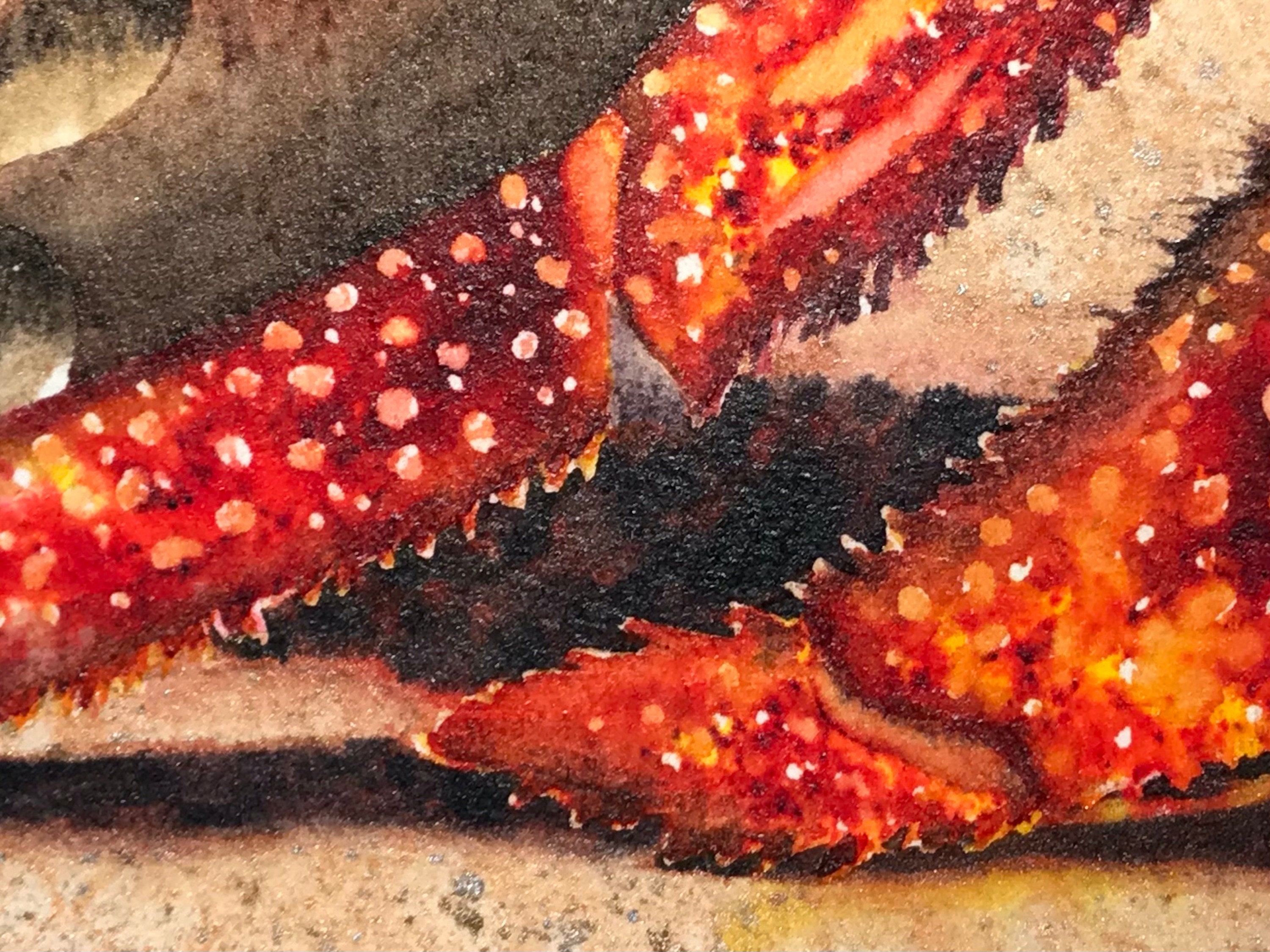 Impresión de archivo de cangrejo ermitaño/pintura de acuarela/cristales ...