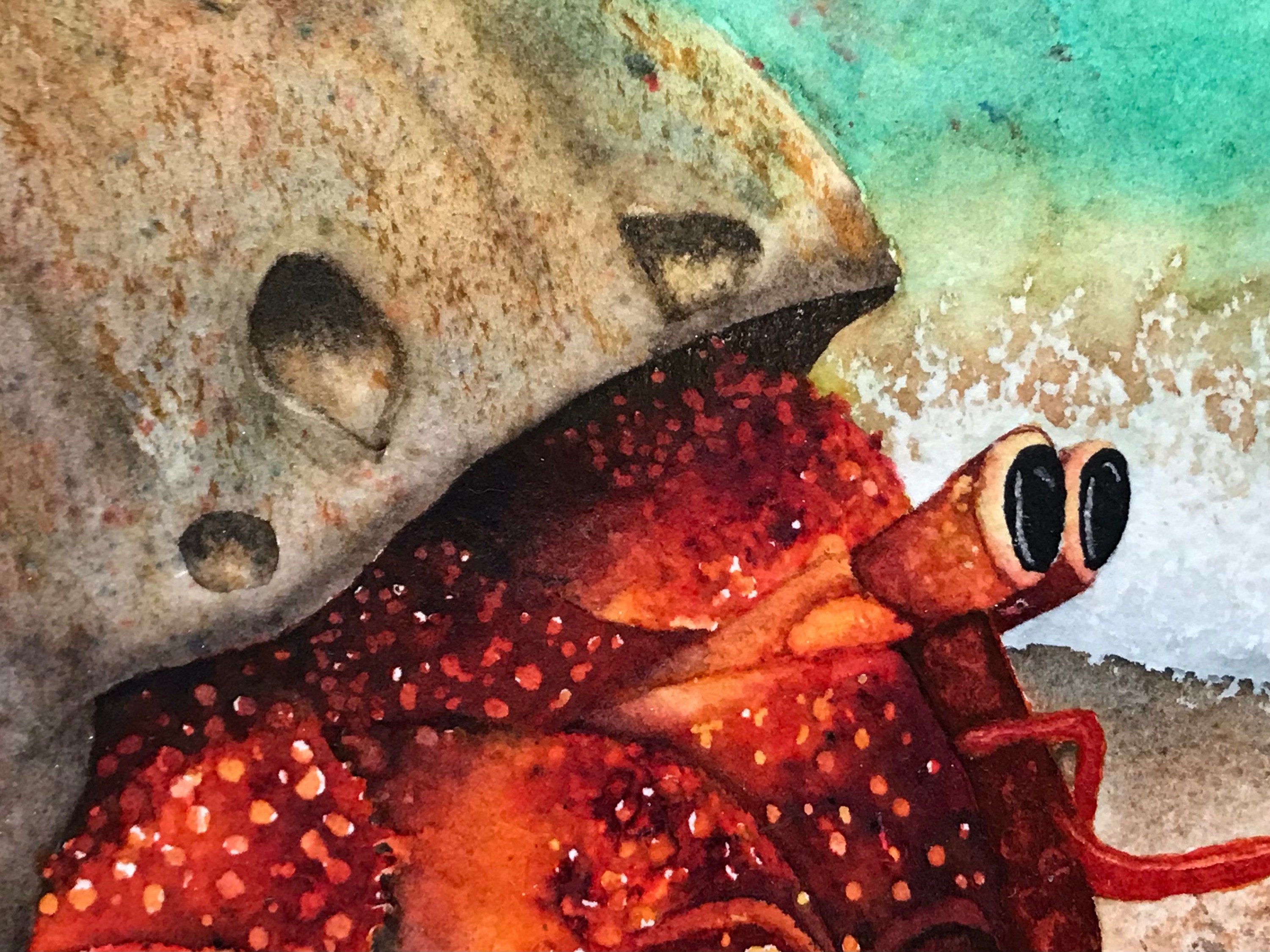 Archival Print of Hermit Crab/watercolor Painting/brusho - Etsy