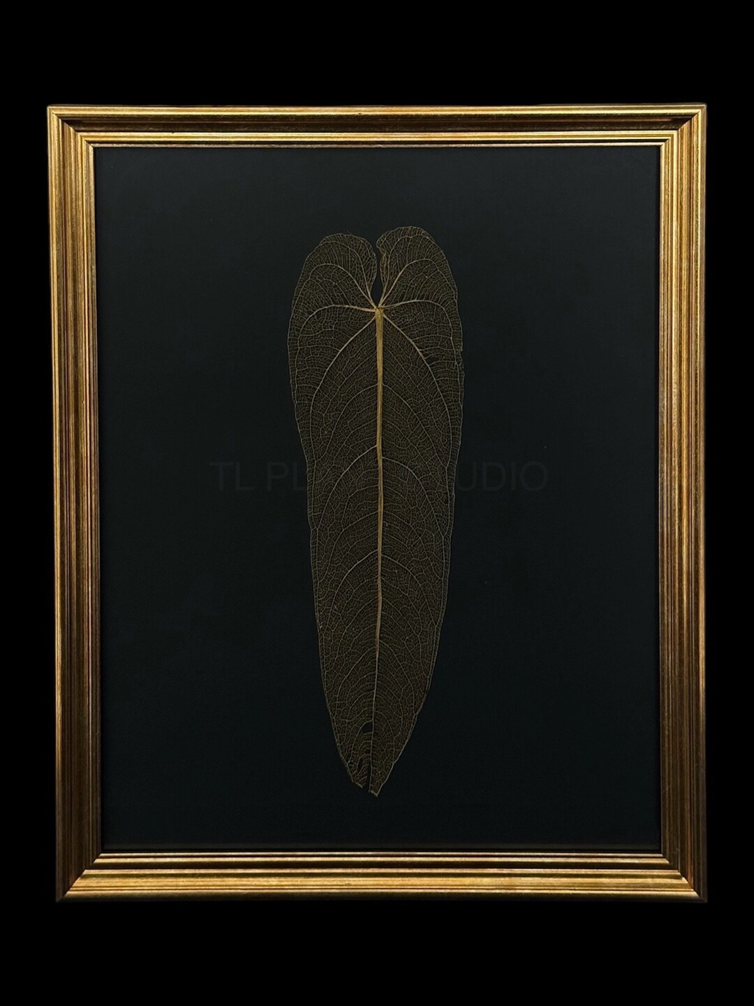Framed Golden Anthurium Metallicum Leaf Skeleton 'T13' 12x15 Framed Art ...