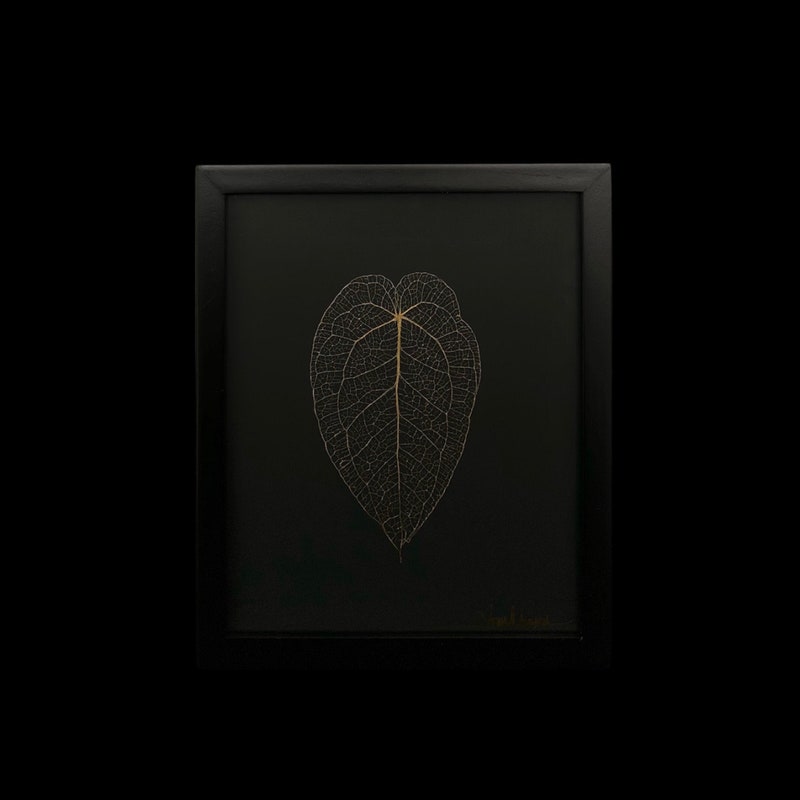 Skeleton Leaf Art - Etsy