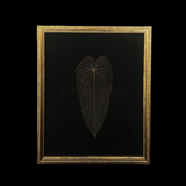 Skeleton Leaf Art - Etsy
