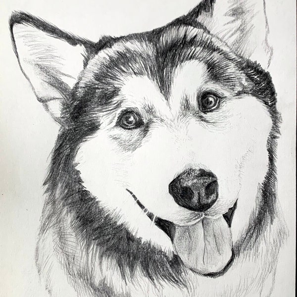 Dog Pencil Drawing - Etsy