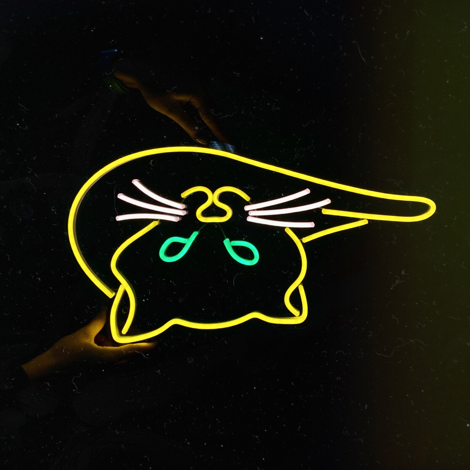 Lying Cat LED Neon Sign Animal Light Decor Pet Wall Art - Etsy