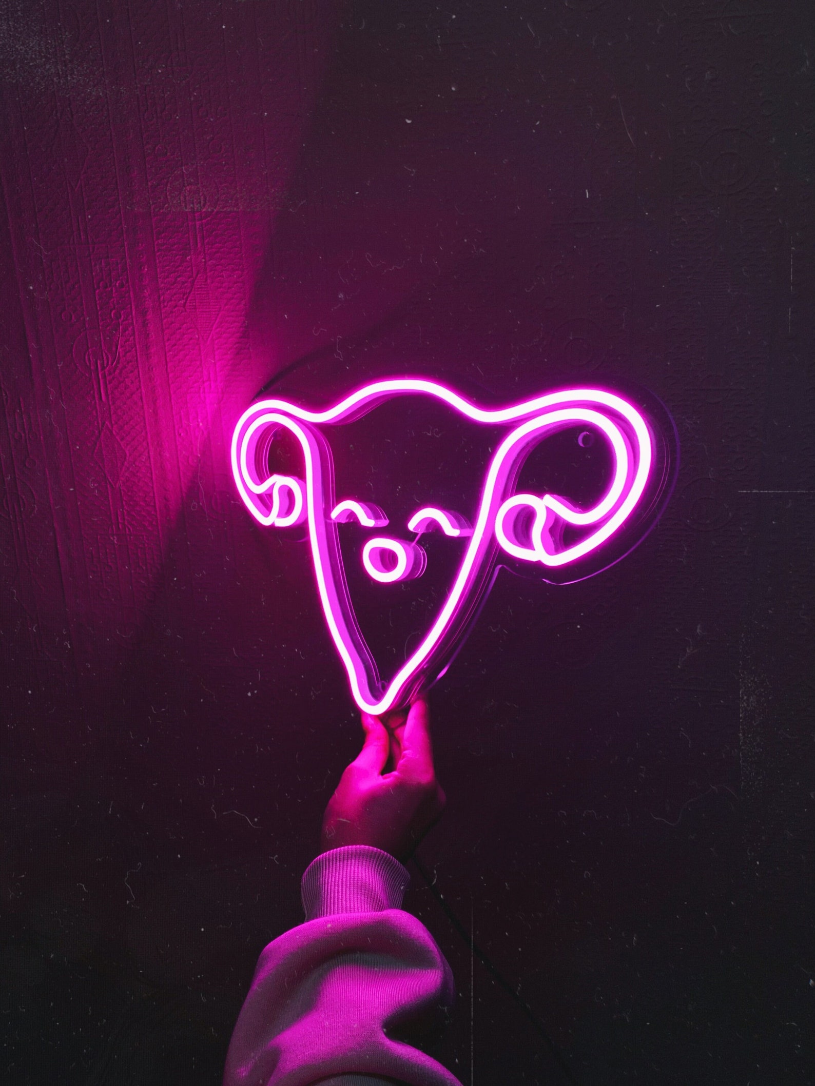 Uterus LED Neon Sign, Feminist Wall Decor, Kawaii Cuterus - Choose Your ...