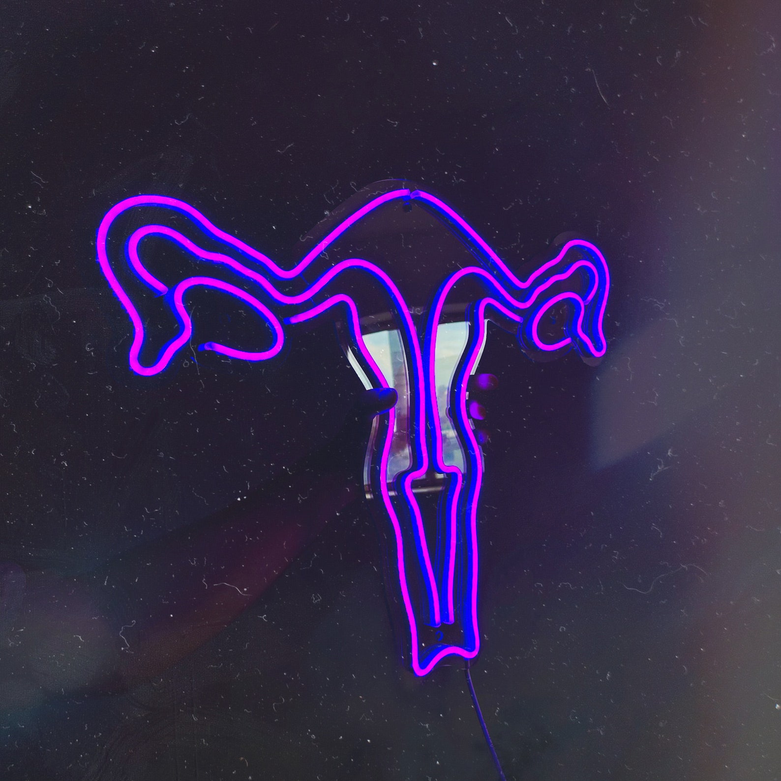 Uterus LED Neon Sign, Feminist Wall Decor - Choose Your Color, Size and ...