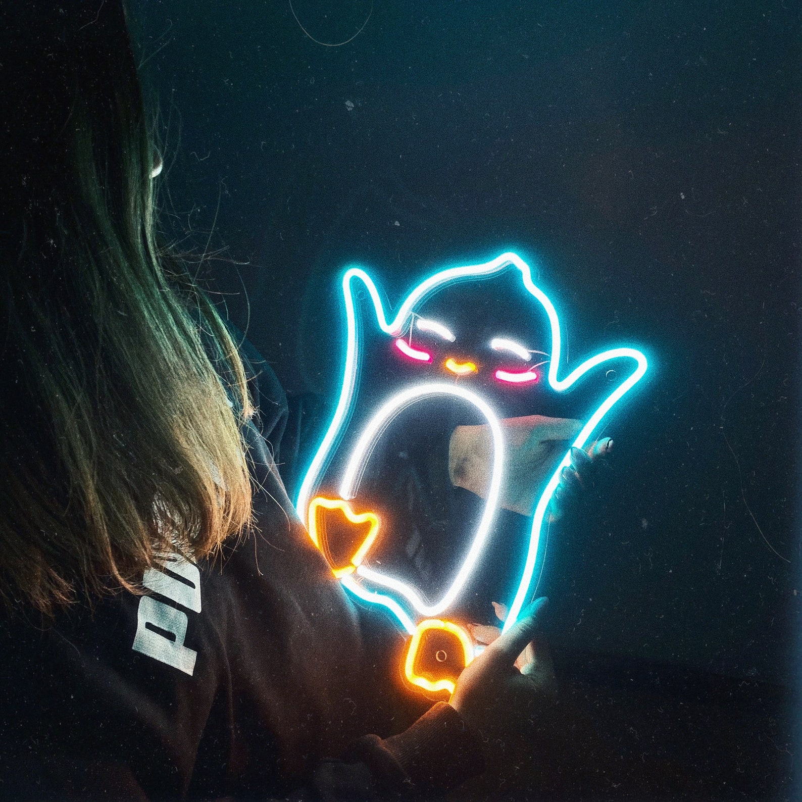 Penguin LED Neon Sign Animal Wall Decor Choose Your Color | Etsy