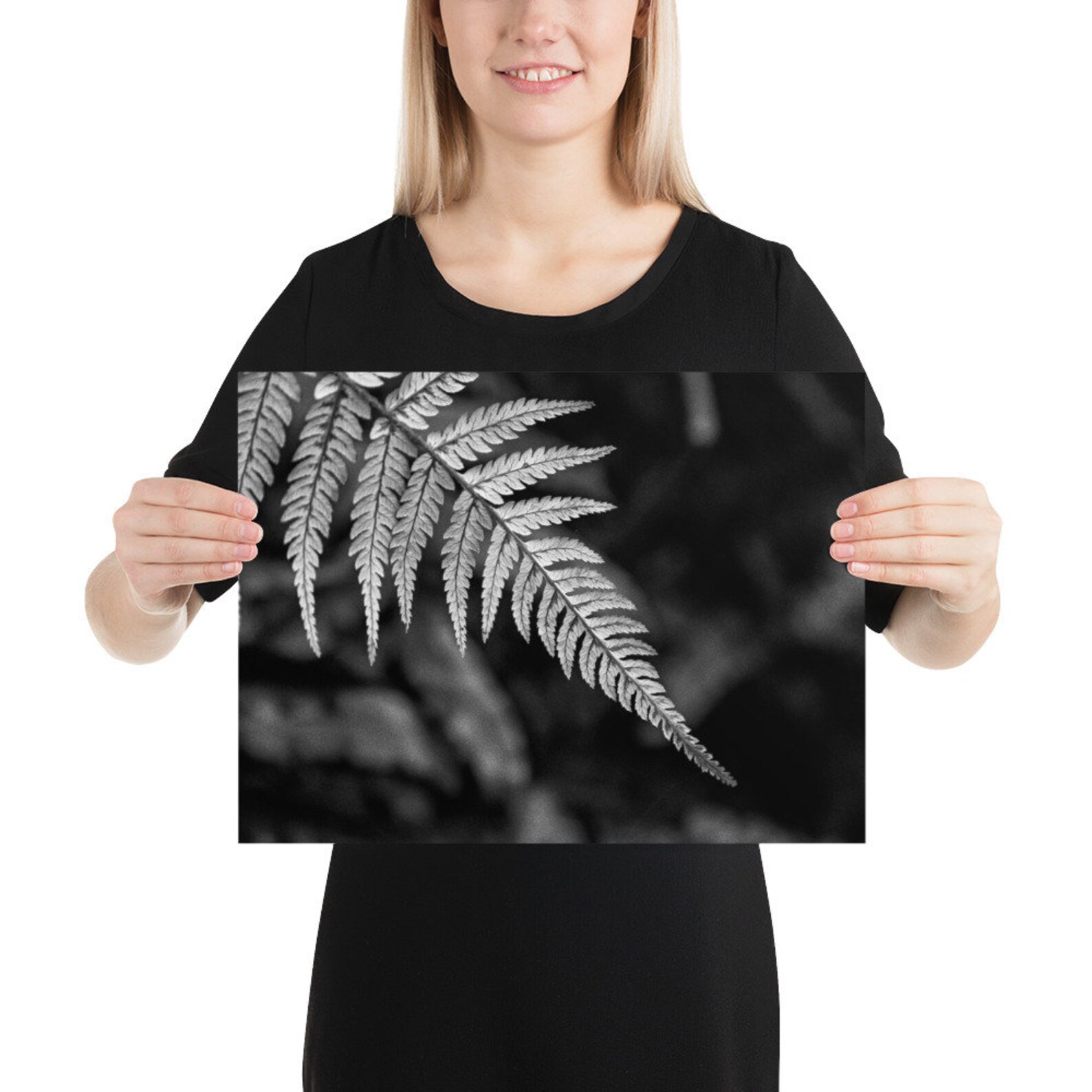 Silver Fern Poster, All Blacks Icon Unframed Wall Art, Plant Home Decor ...