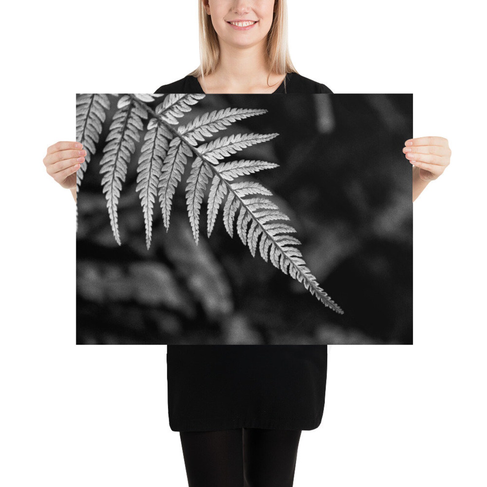 Silver Fern Poster, All Blacks Icon Unframed Wall Art, Plant Home Decor ...