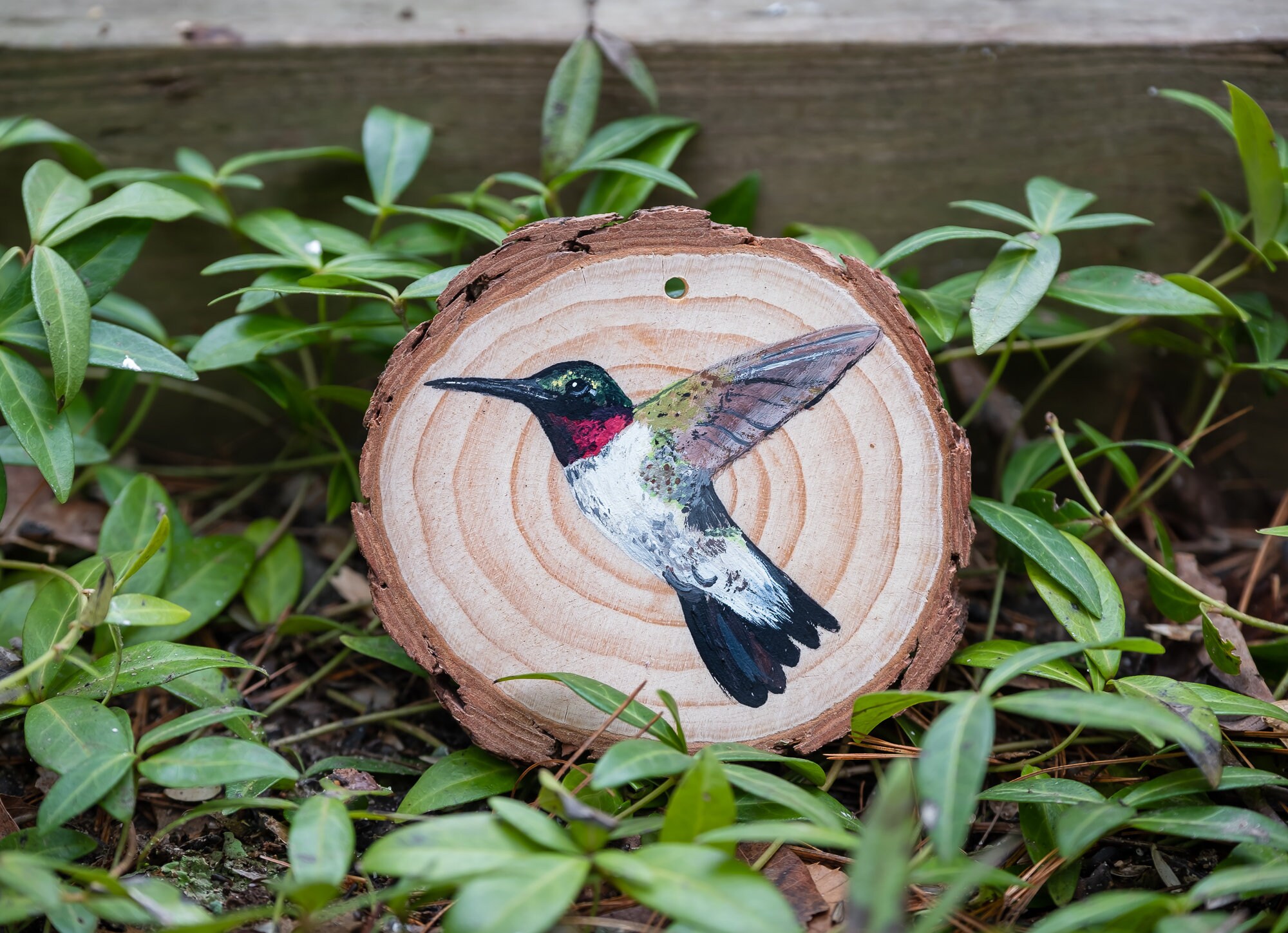 Handpainted Hummingbird - Wood Ornament, Backyard Birds, Michigan Made ...
