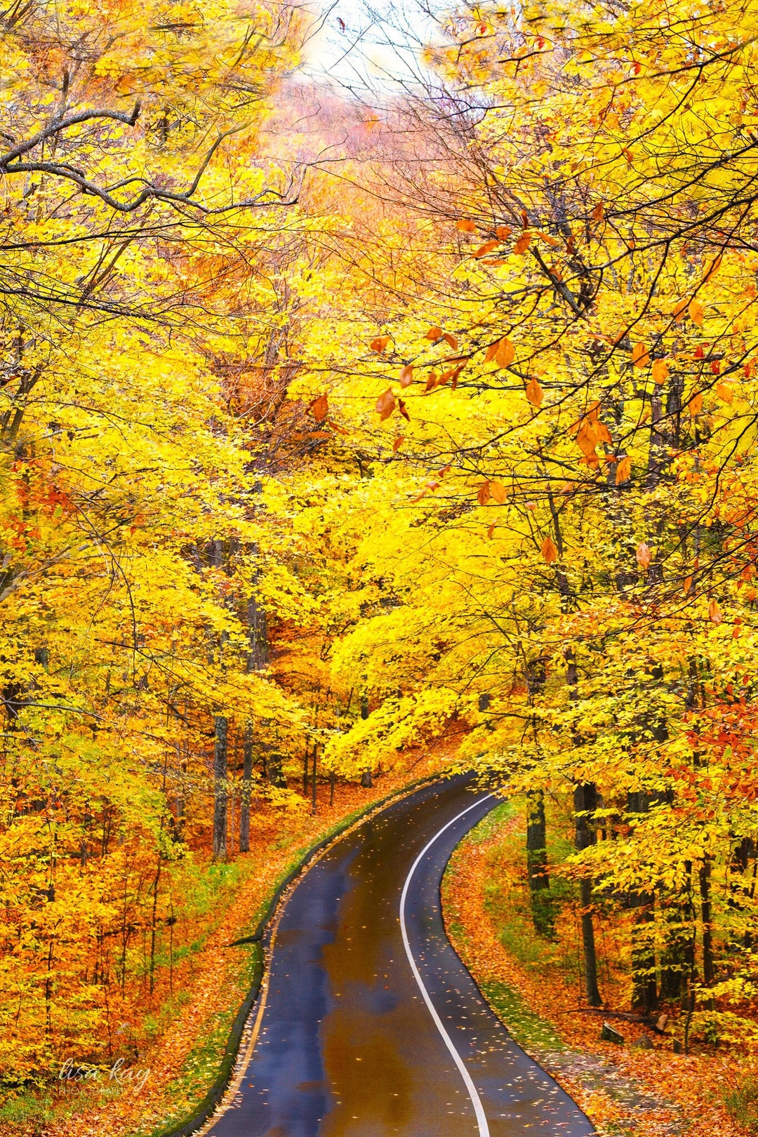 PRINT- Empire, MI - Dunes, Sleeping Bear Dunes, Pierce Stocking Drive ...