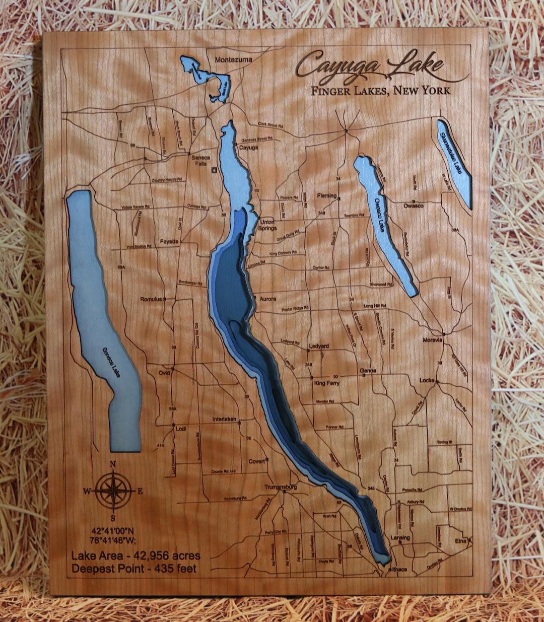 Cayuga Lake 3D Layered Map - Etsy