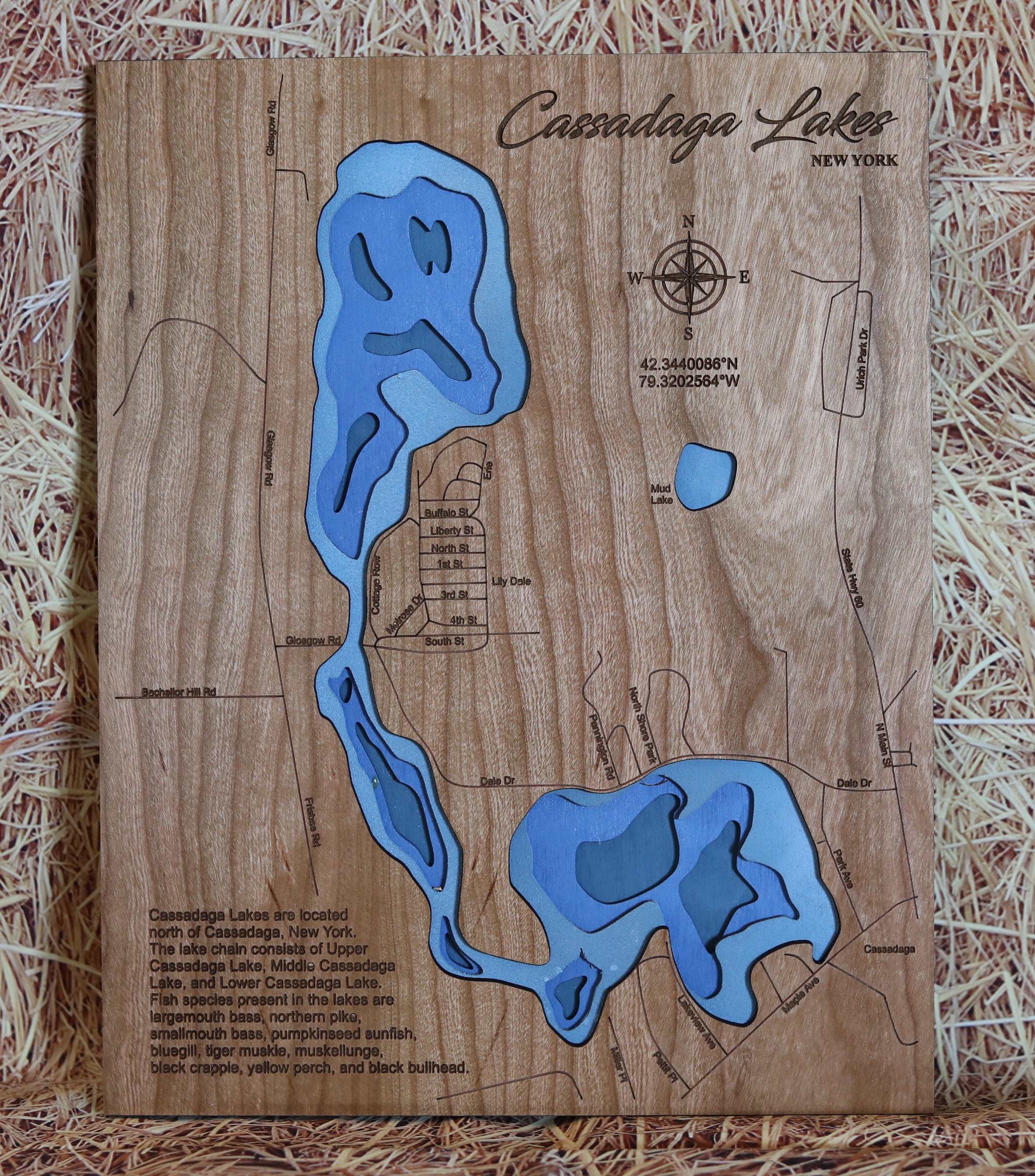 Cassadaga Lakes 3D Layered Map - Etsy