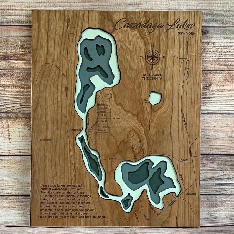 Cassadaga Lakes 3D Layered Map - Etsy