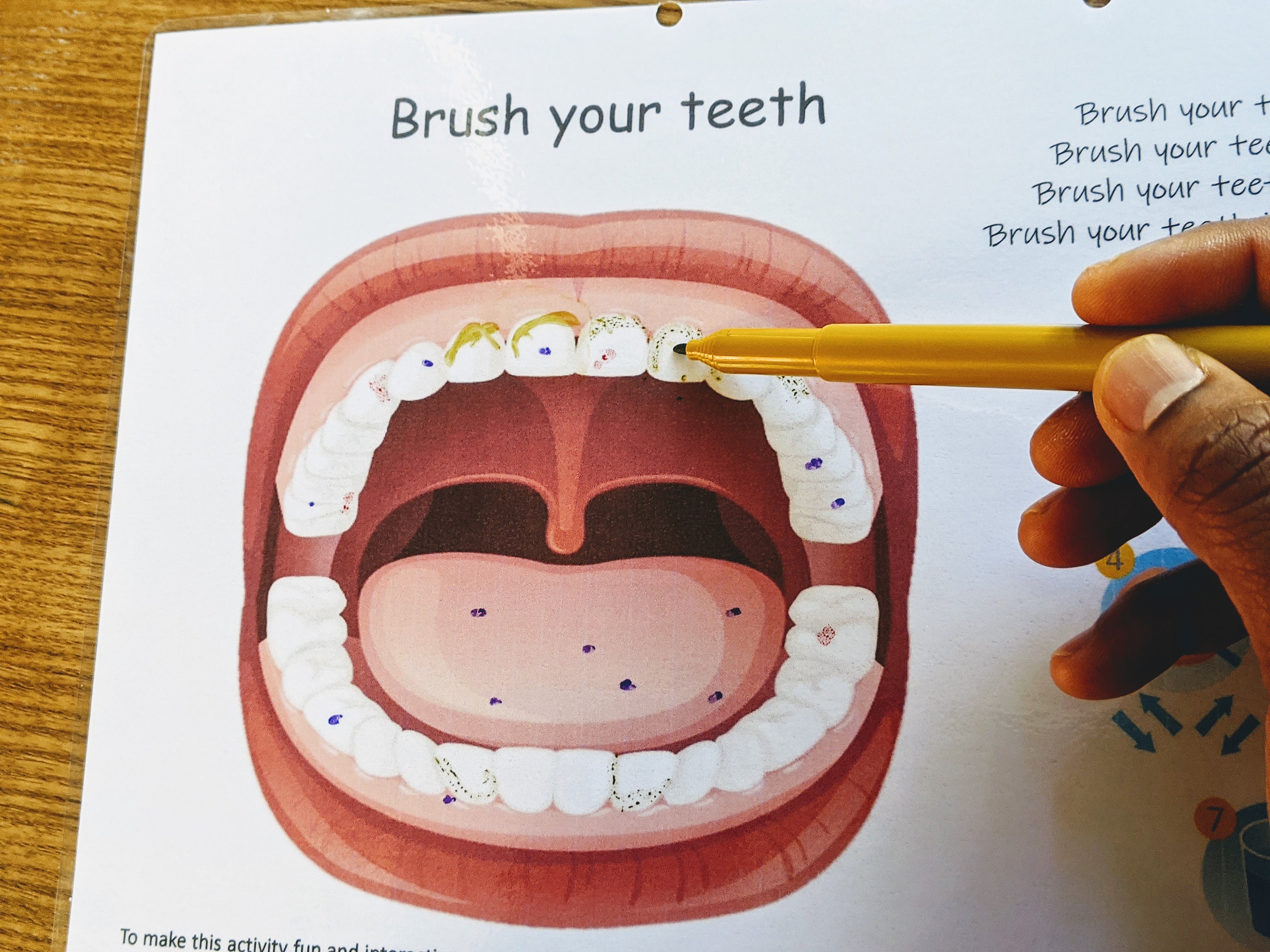Brush Your Teeth Printable Activity, Preschool Busy Book Page, Life ...