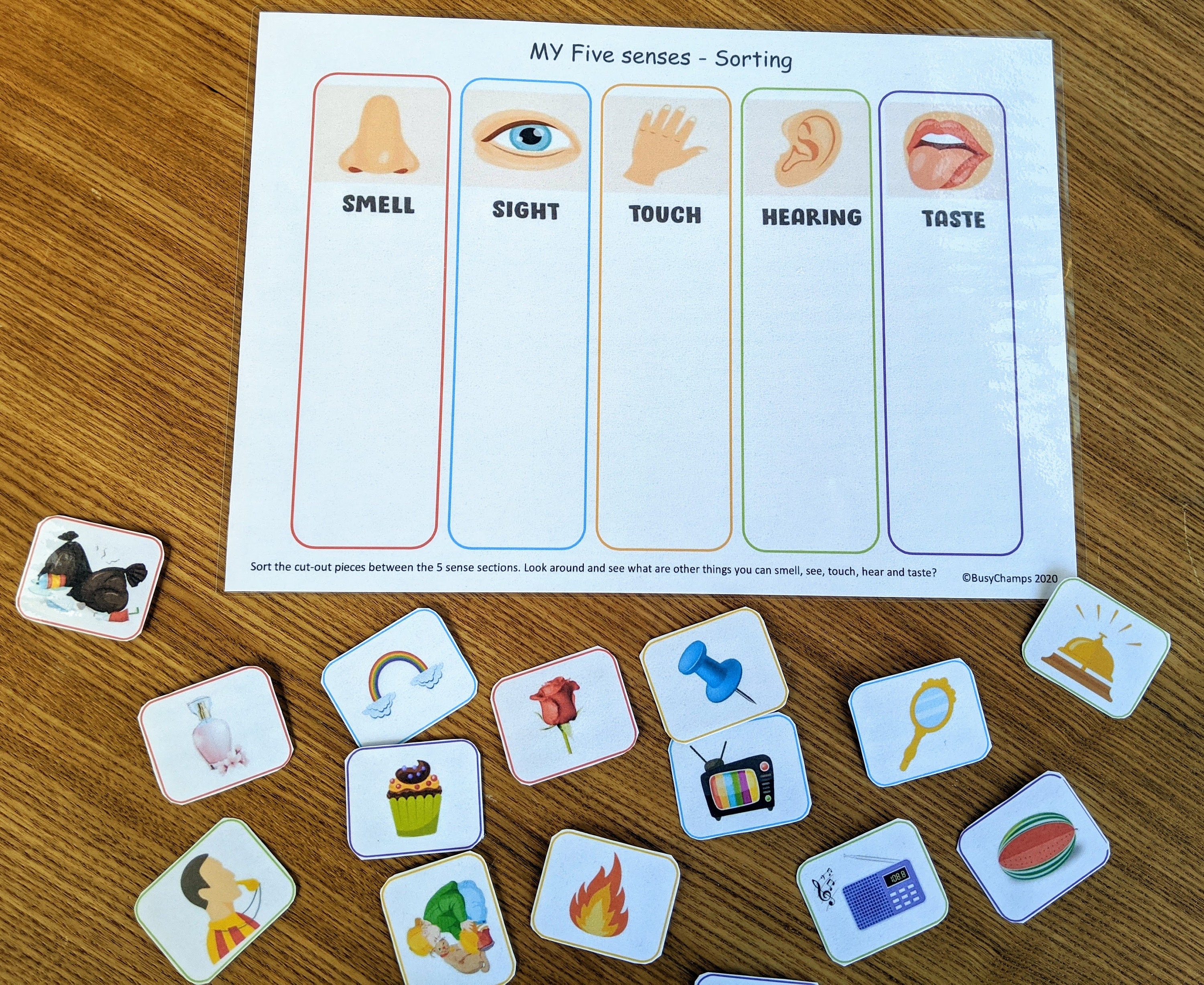 Five Senses Worksheet, Busy Book Printable, Preschool Learning Binder ...