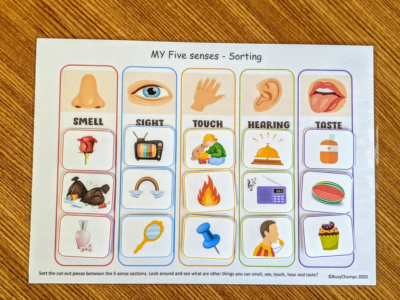 Five Senses Worksheet, Busy Book Printable, Preschool Learning Binder ...