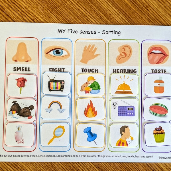 Preschool Learning Binder - Etsy