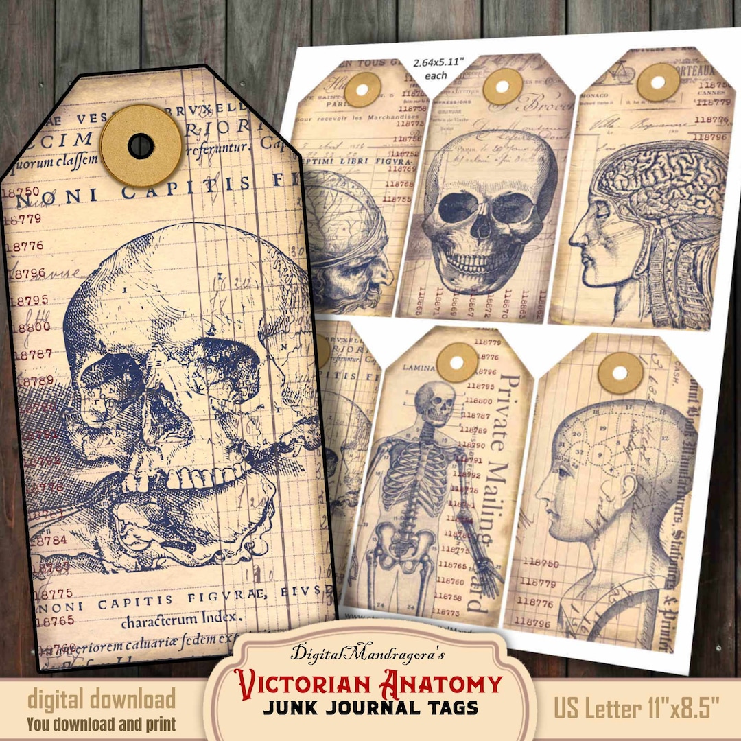 Anatomy Tags Victorian Medical Pharmacy Collage Scrapbook Junk Journal ...