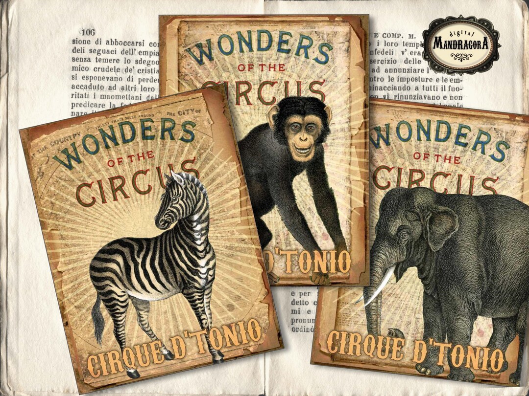 8x Vintage Circus Cards, Circus Cards With Animals, Circus Clip Art ...