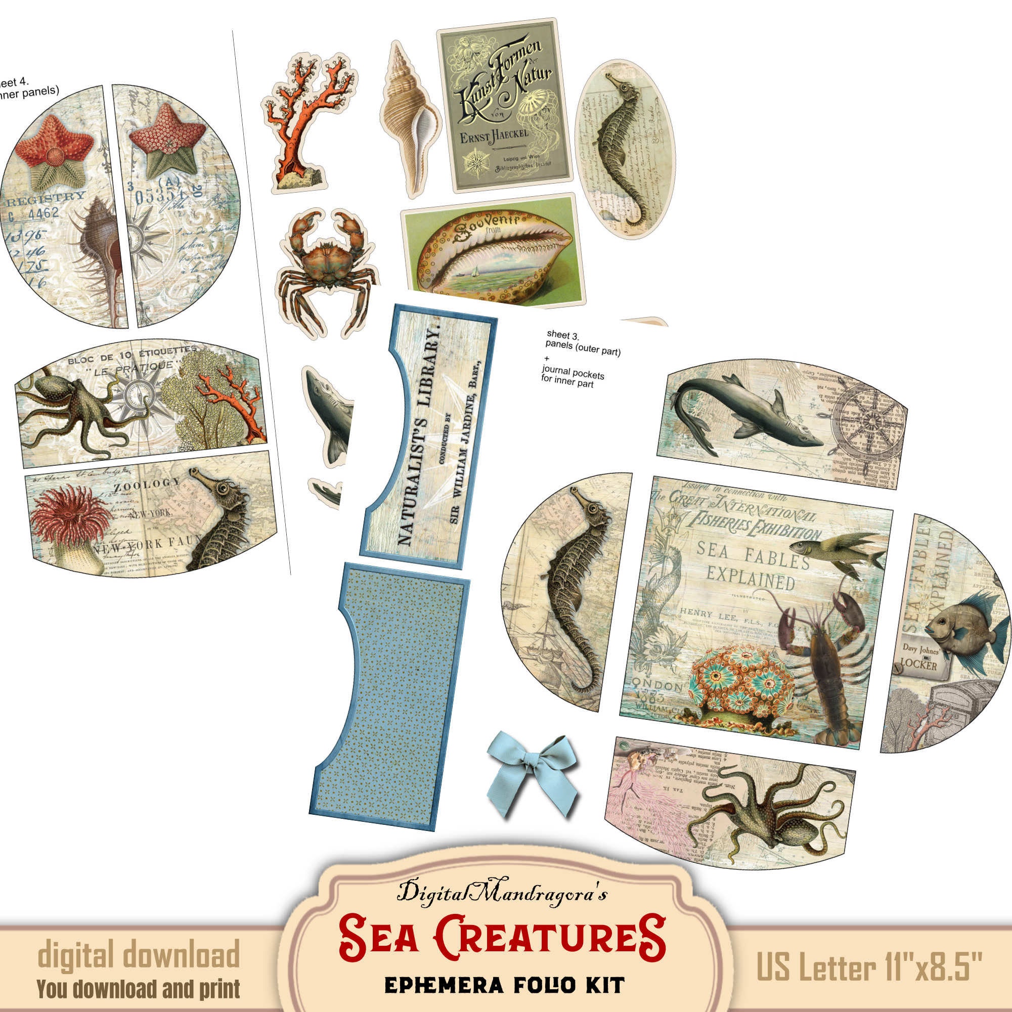 Ocean Creatures Junk Journal Kit: Sea Life Ephemera Folio (digital ...