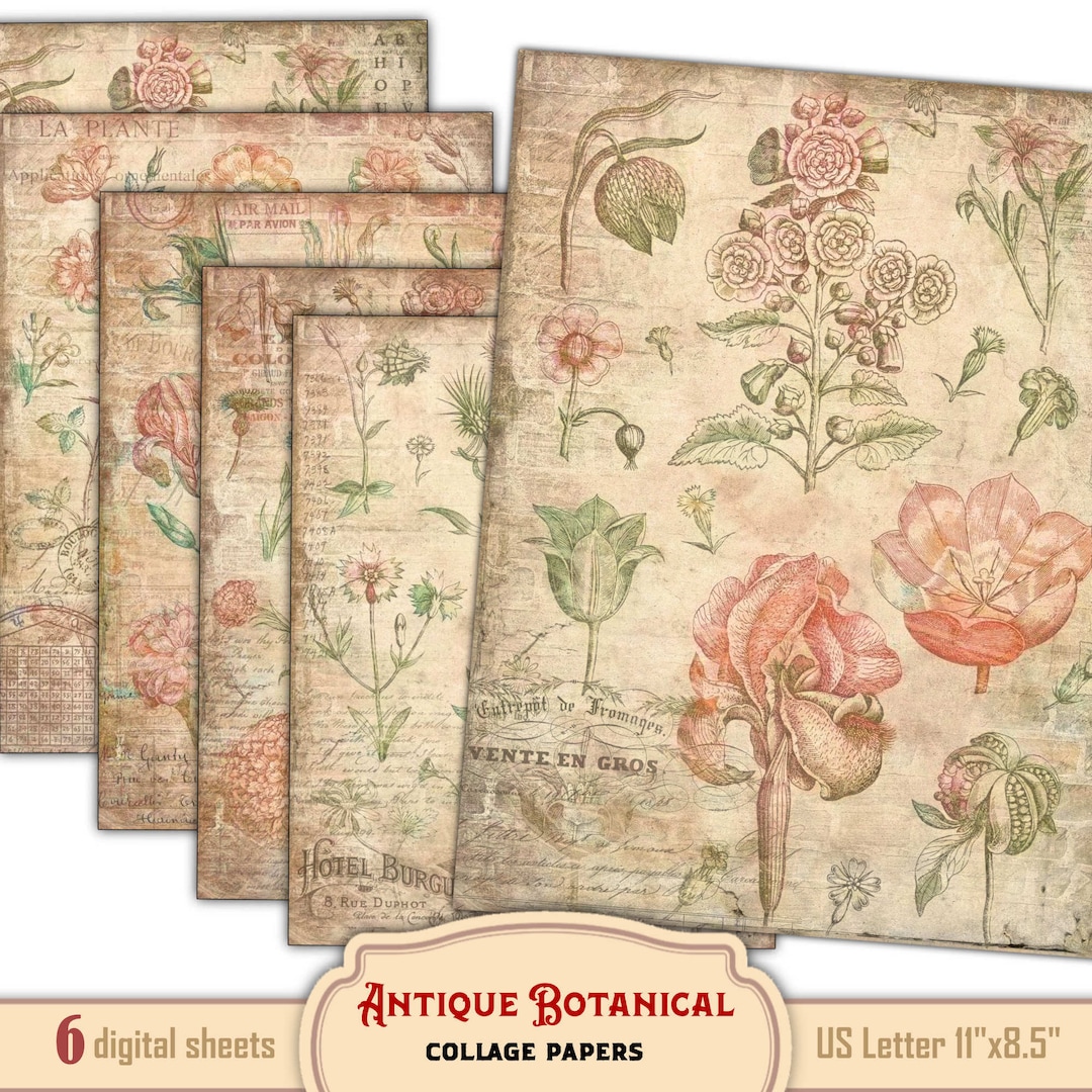 Illustrated Floral Botanical Papers -grunge Distressed Plant Wildflower ...